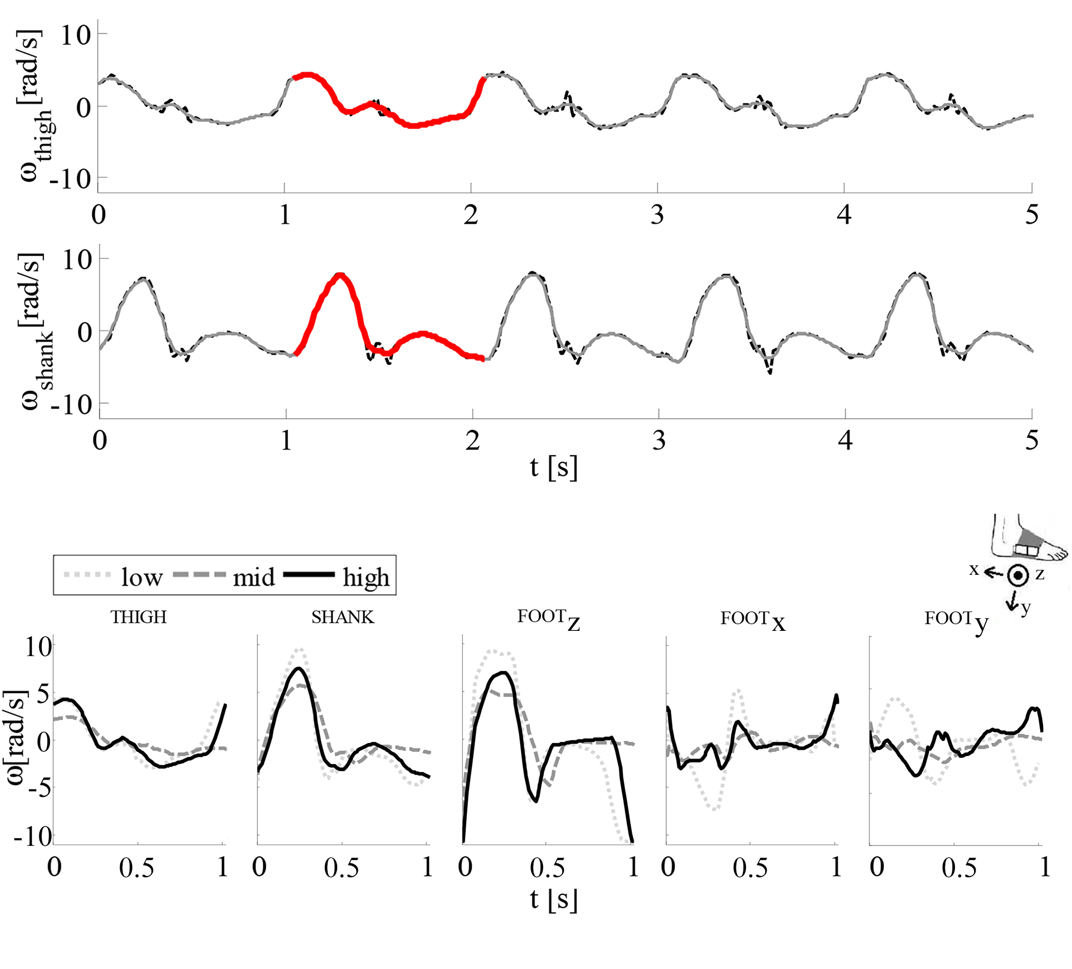 Gait Analysis – ICEF