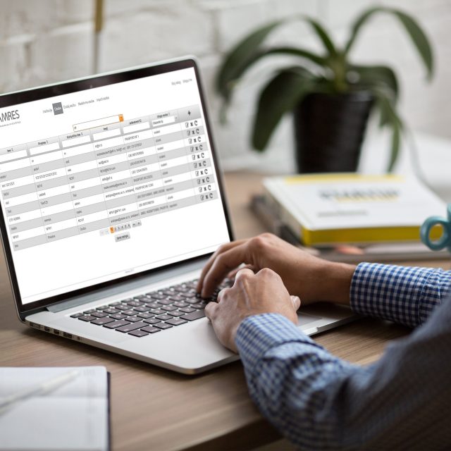 ICEF – Innovations. Connectivity. Efficiency.